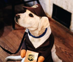 UPS Marketing Strategy Explained - Marketing Explainers
